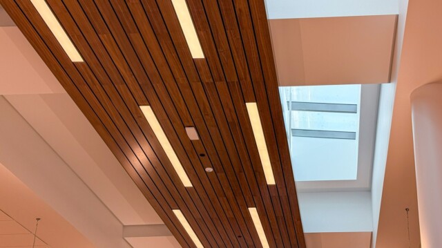 Squashbusters | Delphi Construction