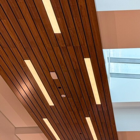 Squashbusters | Delphi Construction